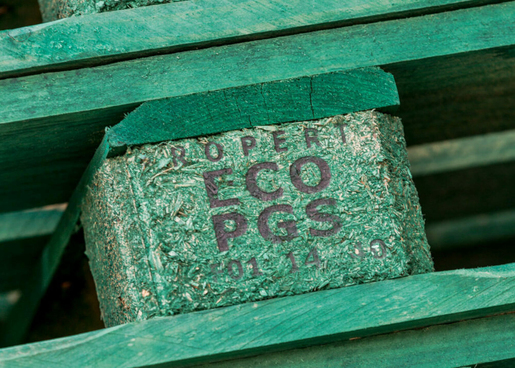 Our Services - PGS Group